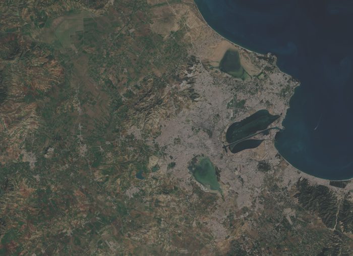 Cogepha | reseau-cogepha